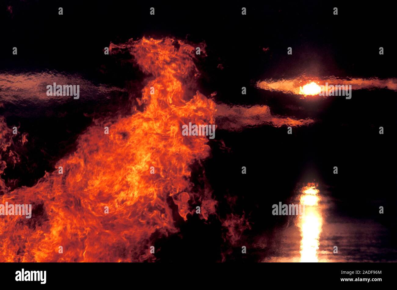 Forest fire in a forest canopy. The sun is seen at right. A crown fire ...