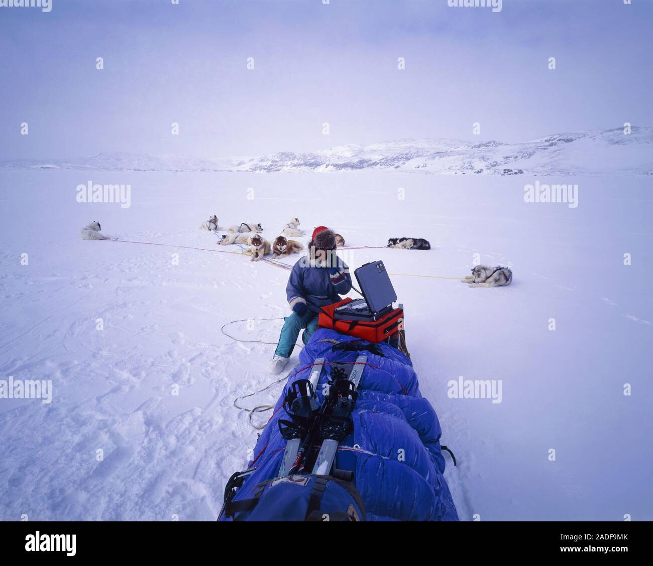 Arctic travel. Driver of a dog sled team resting on his sledge. He is ...