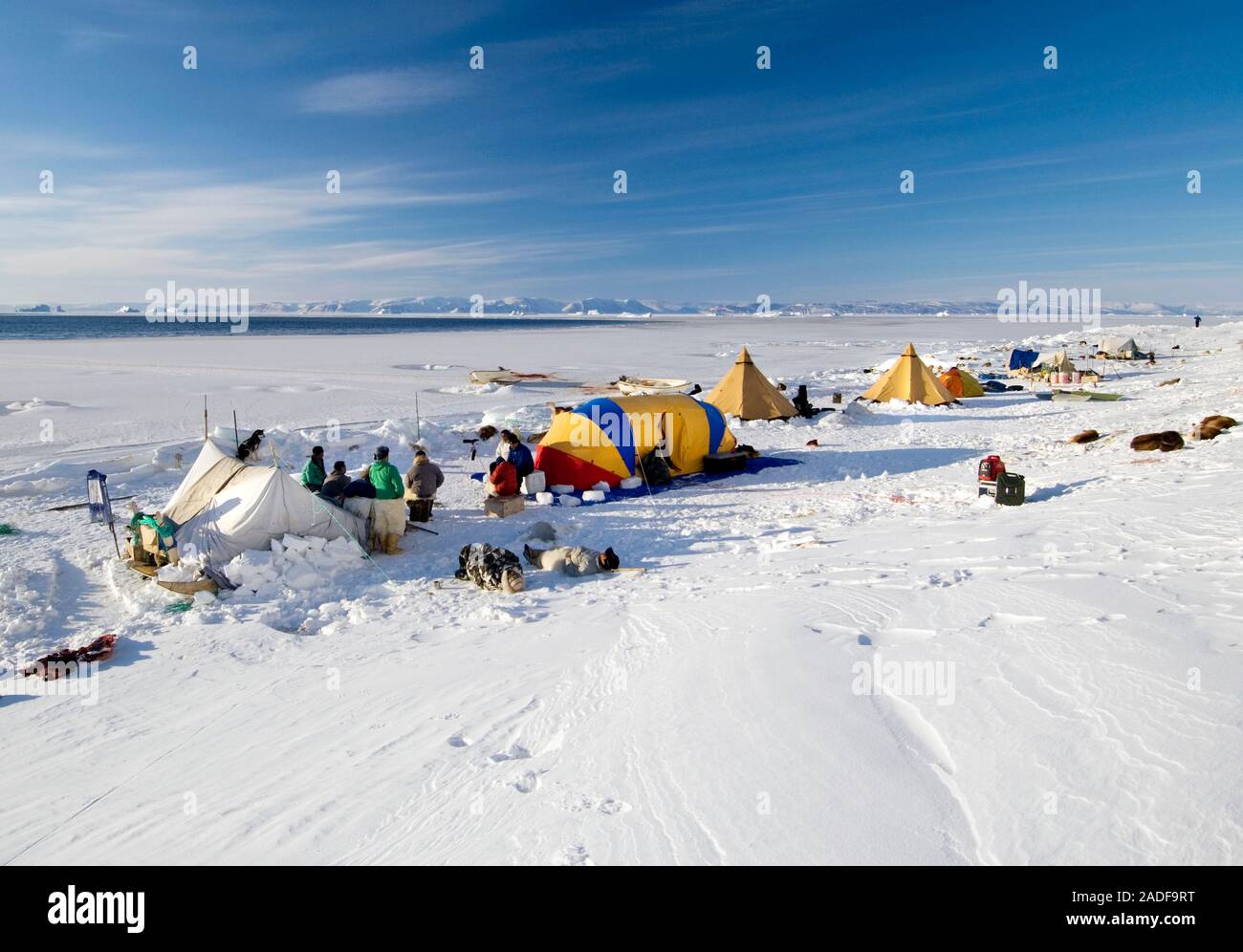 Seal hunting base camp, Greenland. Inuit hunters resting at base camp ...