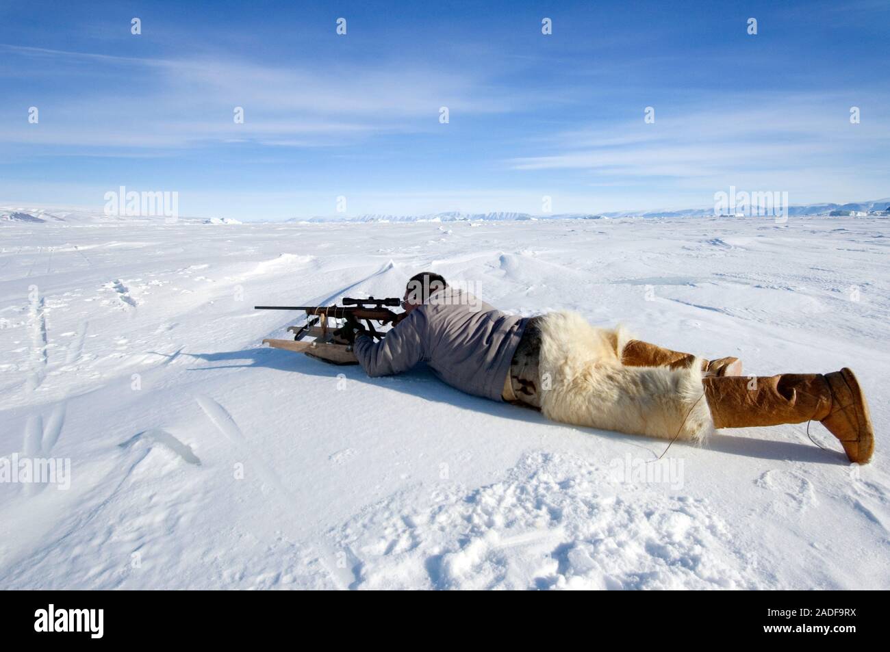 Seal hunt. Inuit hunter lying in wait for a ringed seal to appear from ...
