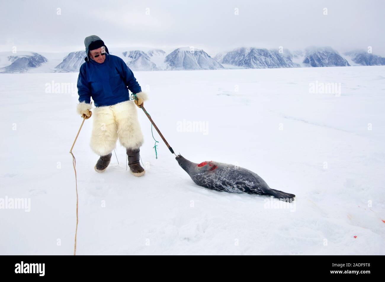 Eskimos Hunting Seals