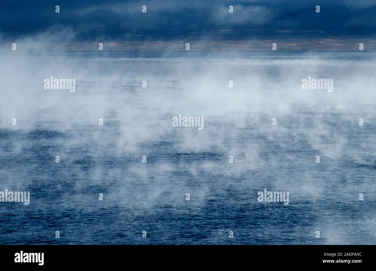 Frost smoke over the sea. This is a type of fog that occurs when ...