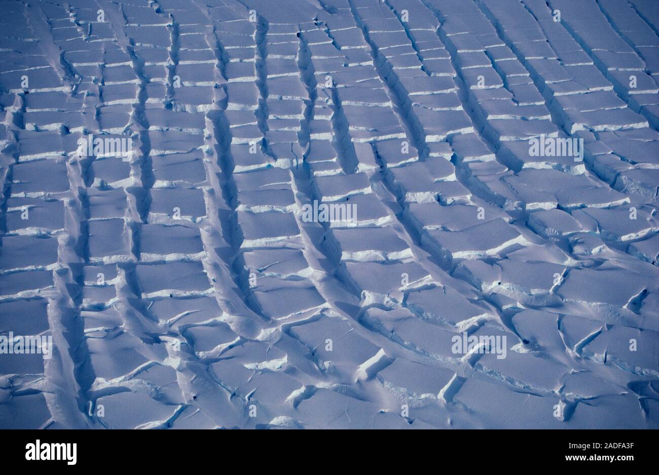 Snow crevasses. These pavement-like patterns are formed by the movement ...