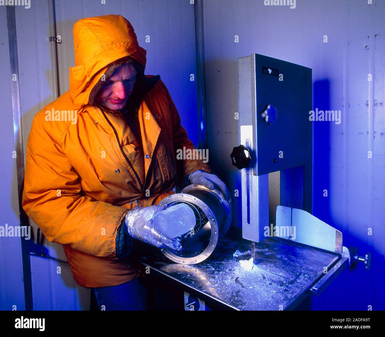 Ice core. Scientist in a cold room handles an ice core. The ice core ...