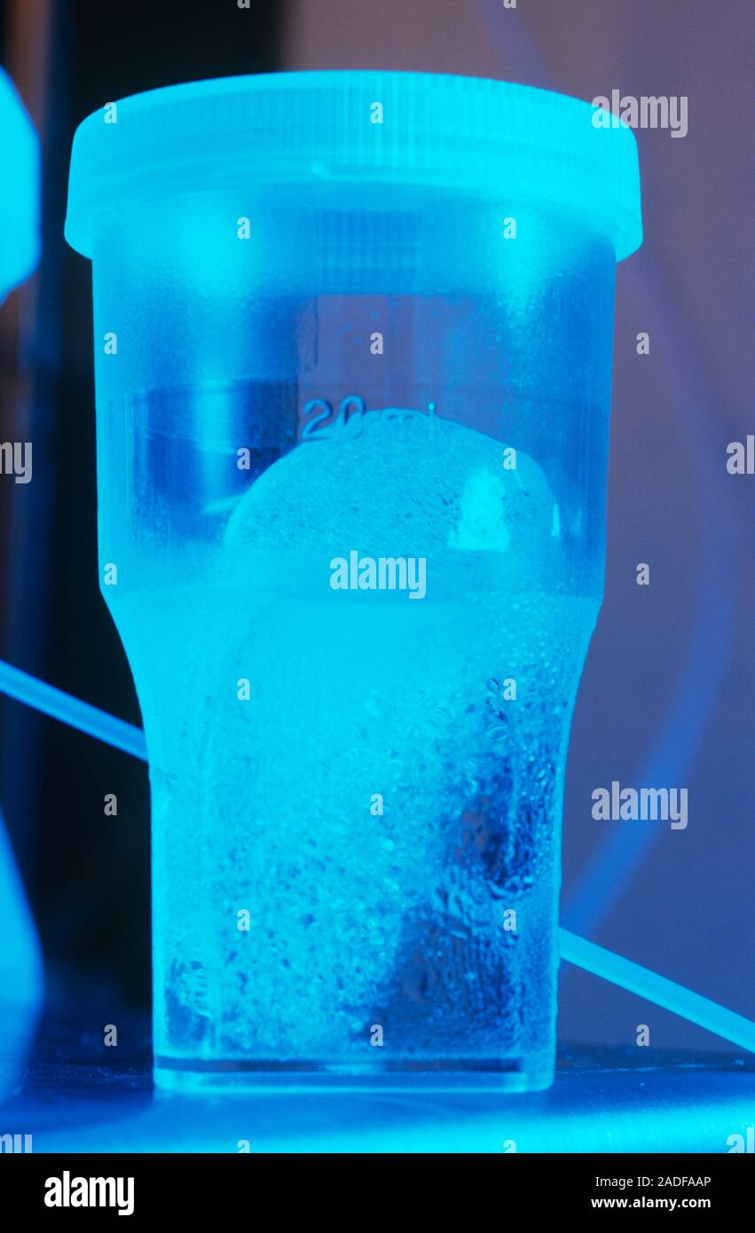 Ice core research. Sample of ice from an Antarctic ice core sample. The ...