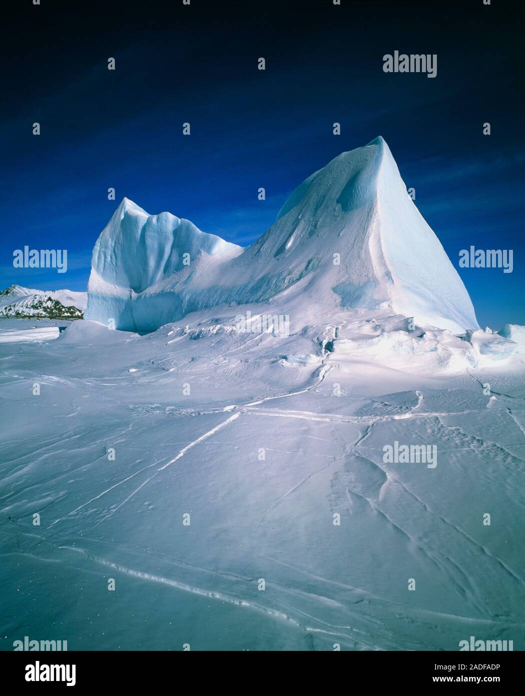 Iceberg. View of a large iceberg trapped in sea ice. Tall, sharp ...