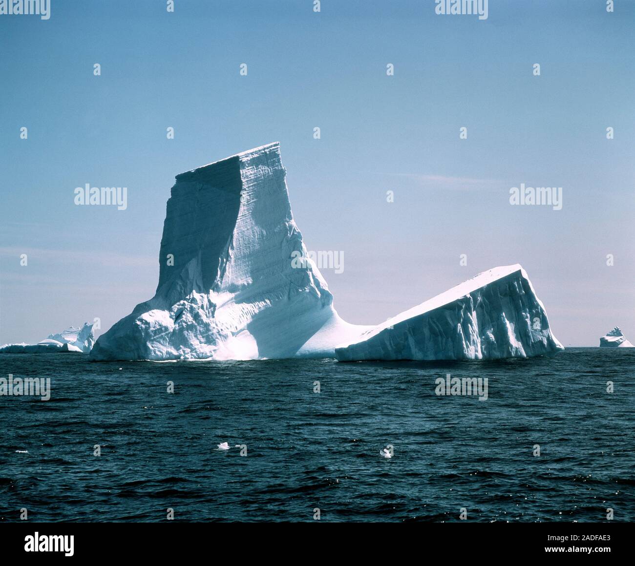 Iceberg. Icebergs are floating chunks of ice that have broken away (calved) from a glacier or an ...