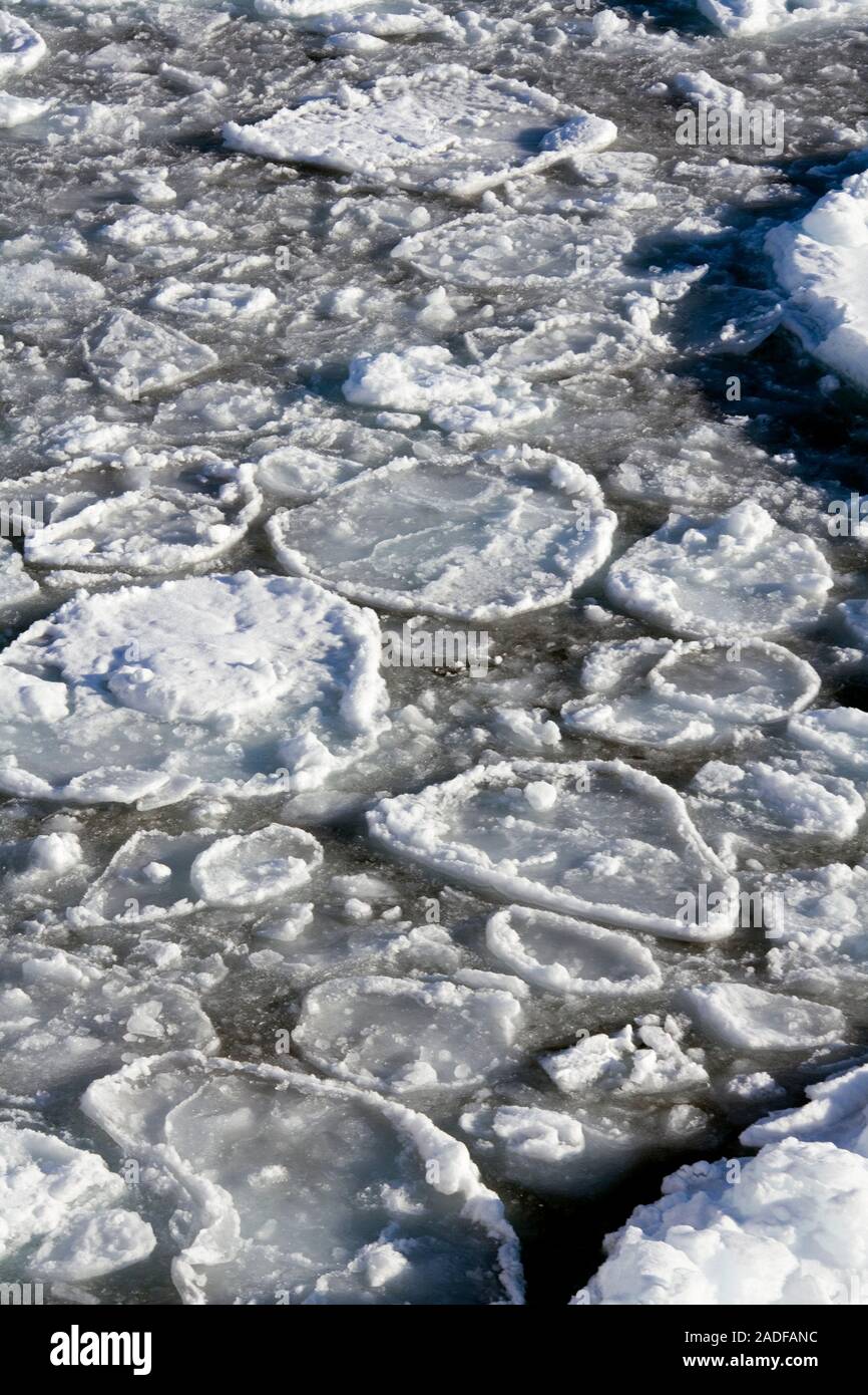 Pancake ice. This type of sea ice is formed of circular to polygonal ...