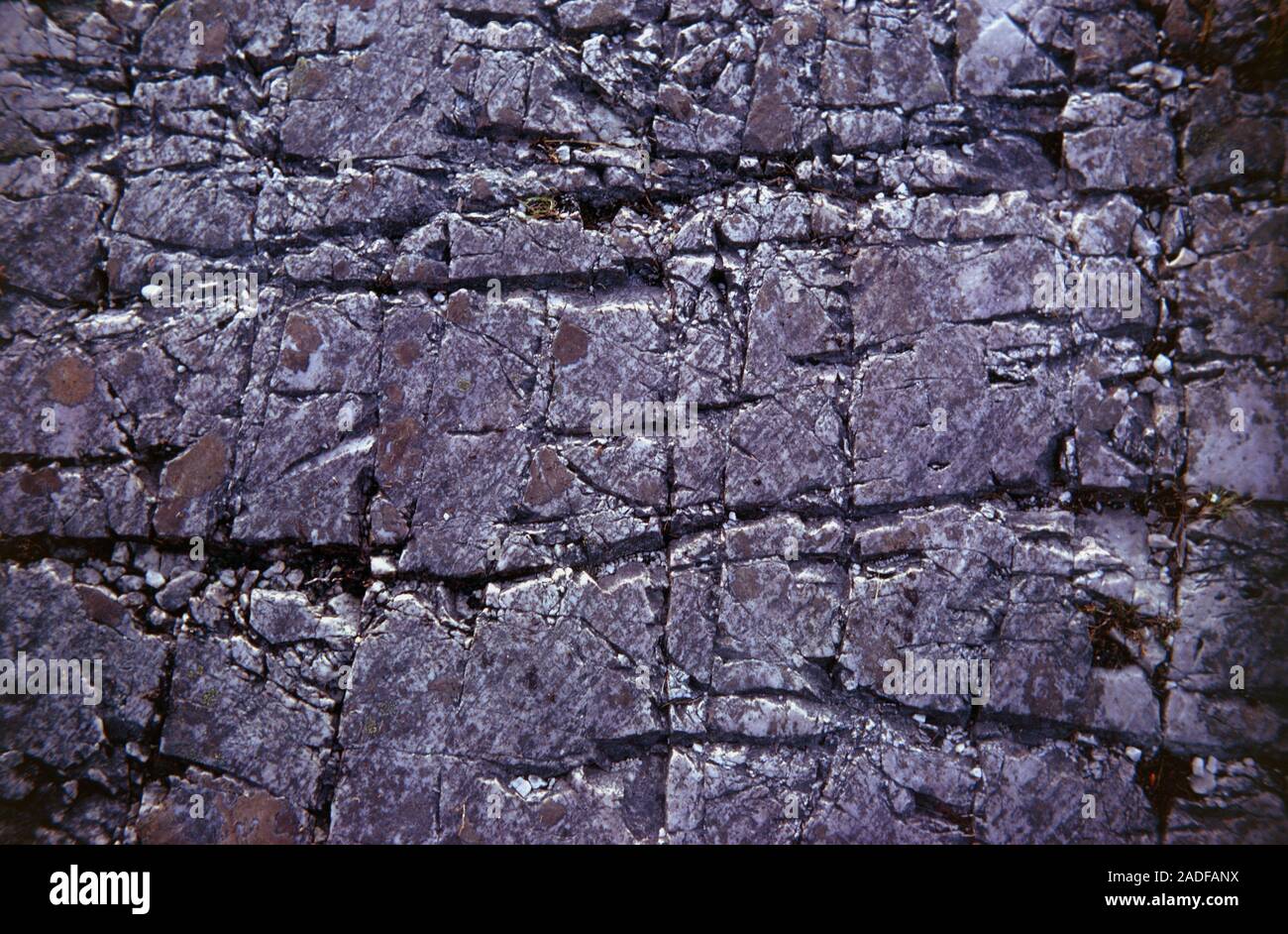 Glacier scratching where rocks have been scratched by passage of ...