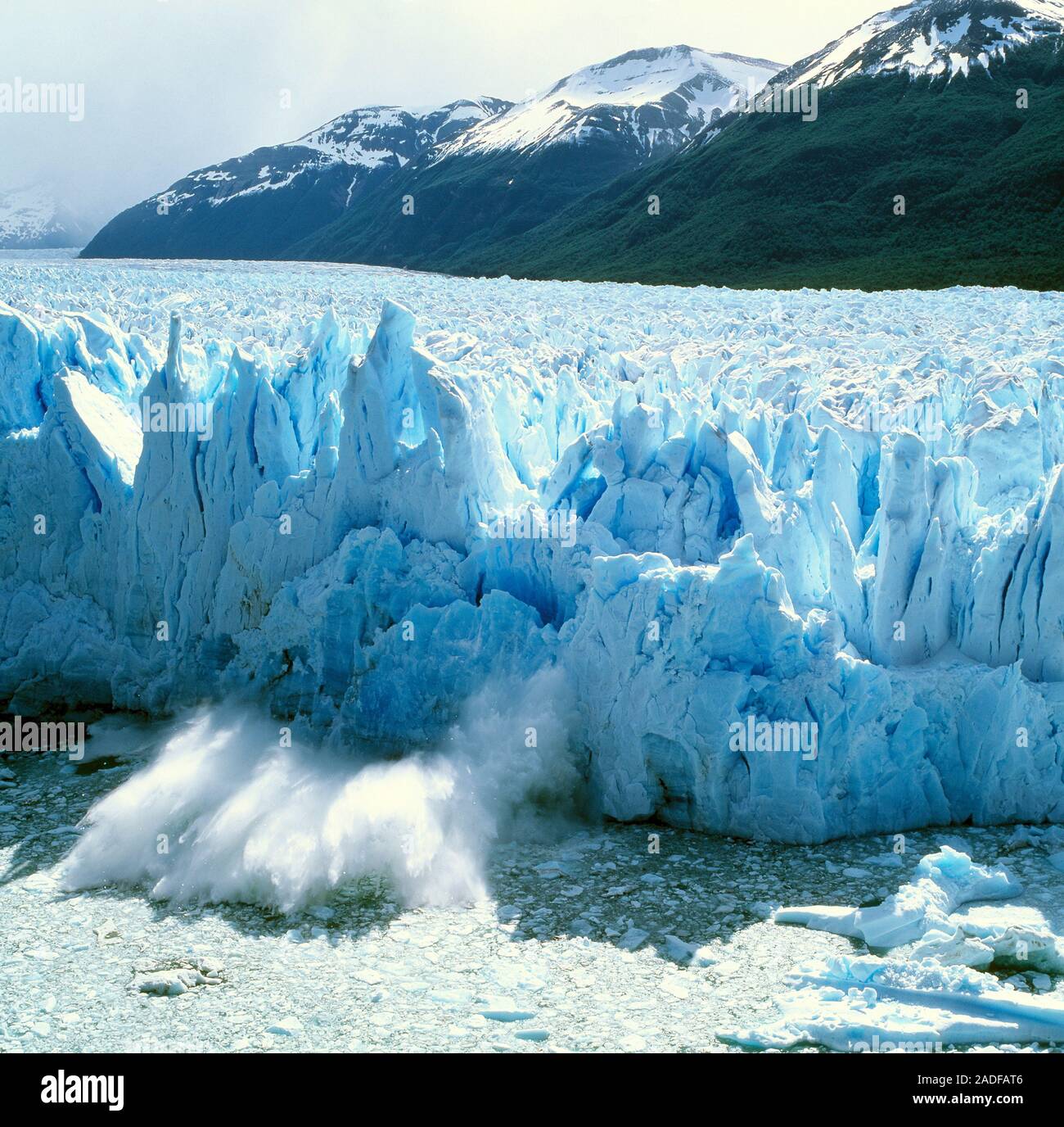 Calving glacier front. Chunks of ice fall from a glacier into the ocean ...
