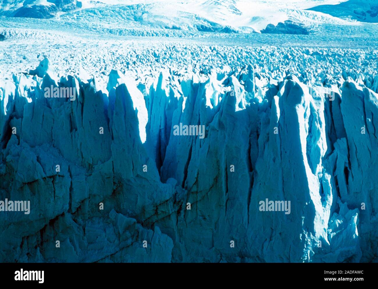 Glacial ice cliff. Aerial view of the crevasses lying between the ...