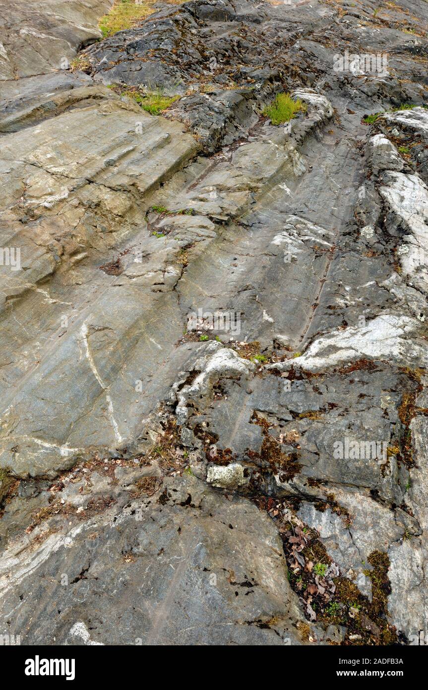Glacial erosion. Grooves in bedrock from the movement of a glacier ...