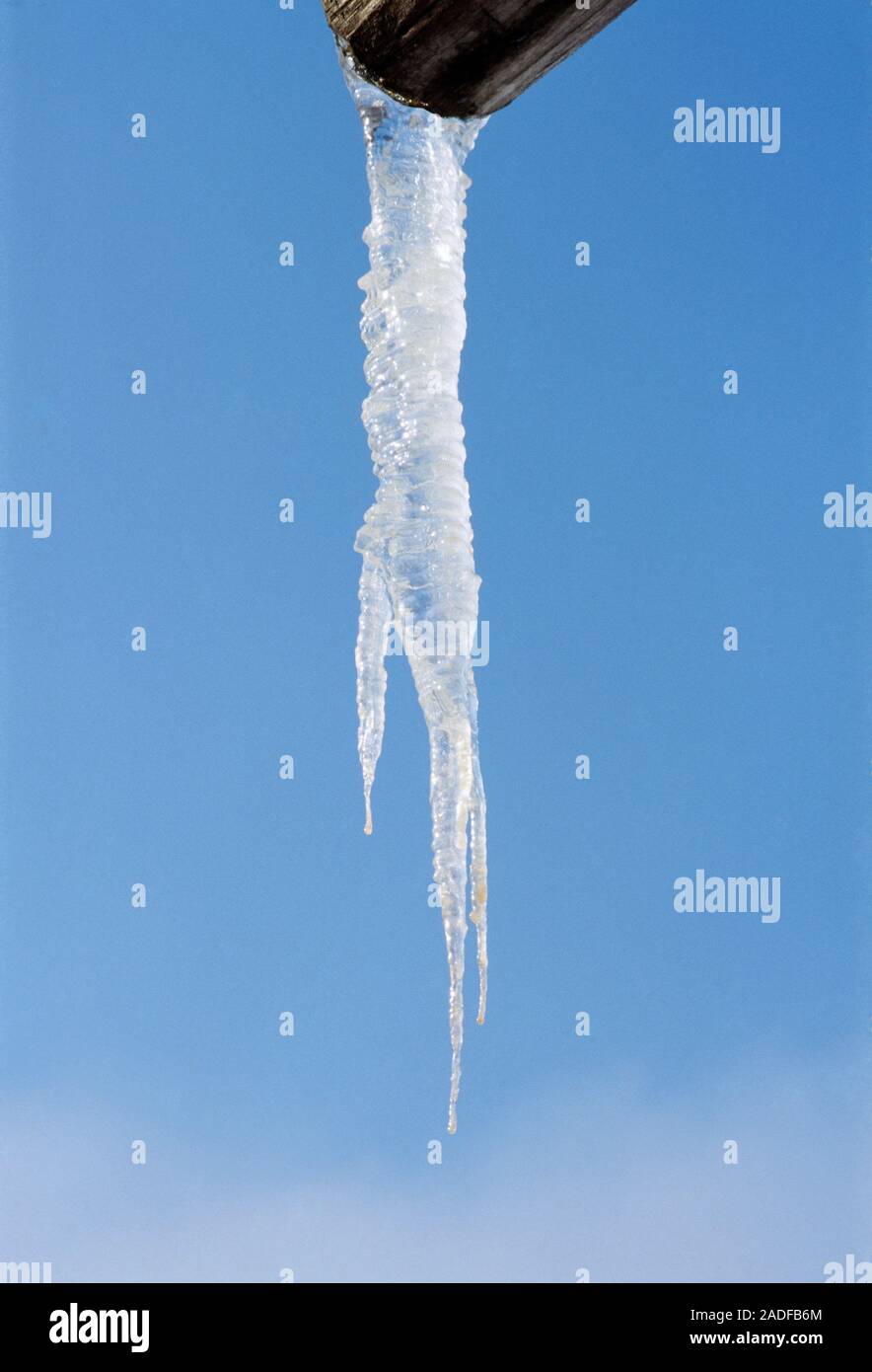 Icicle. This structure forms when water from melted snow or ice ...