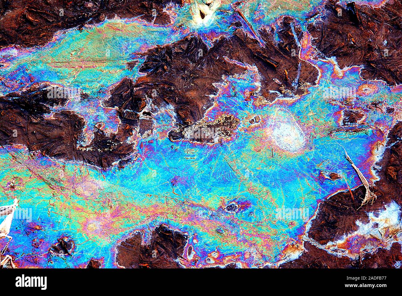 Interference patterns in a frozen pond containing thin films of oil ...