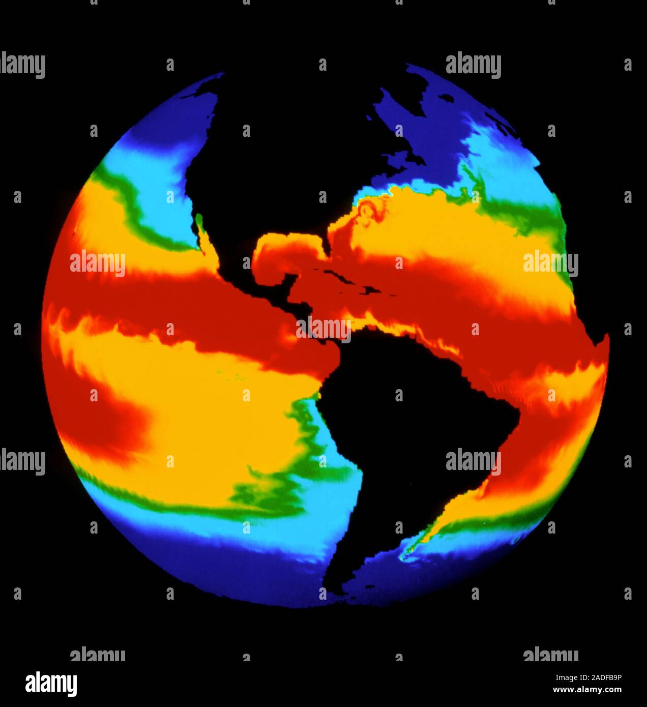 Computer model of global sea surface temperature. Computed sea surface ...