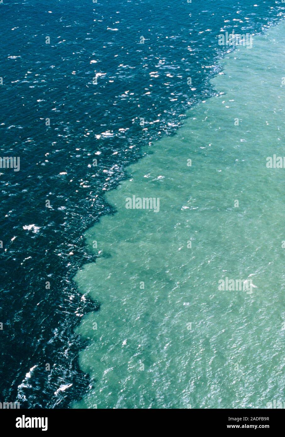 Fresh water and salt water. The fresh water of the Fraser River ...