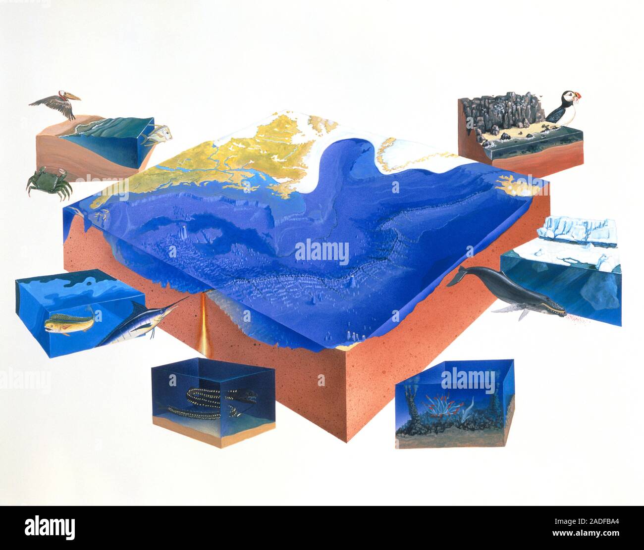 Atlantic Ocean. Illustration of the Atlantic Ocean and some of the ...