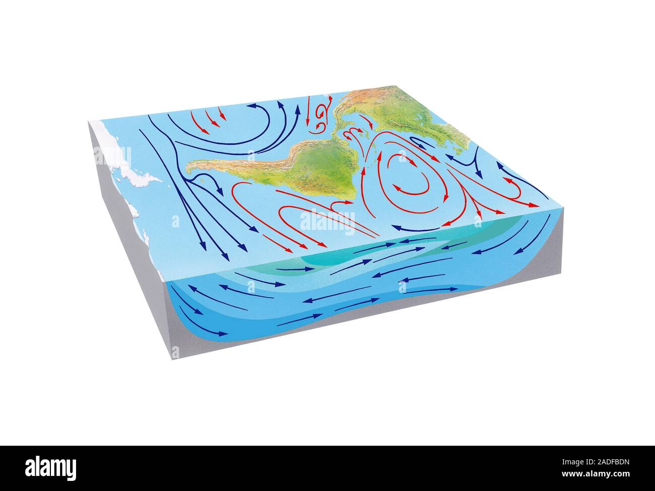 Ocean currents around the Americas, artwork. Red arrows show the ...