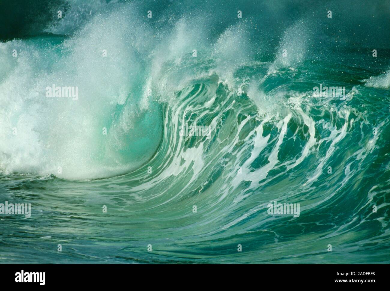 Breaking wave. View of a wind-blown wave (comber) breaking as it nears ...