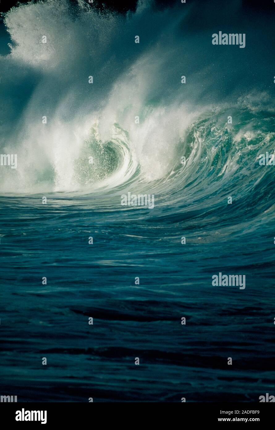 Breaking wave. View of a wind-blown wave (comber) breaking as it nears ...