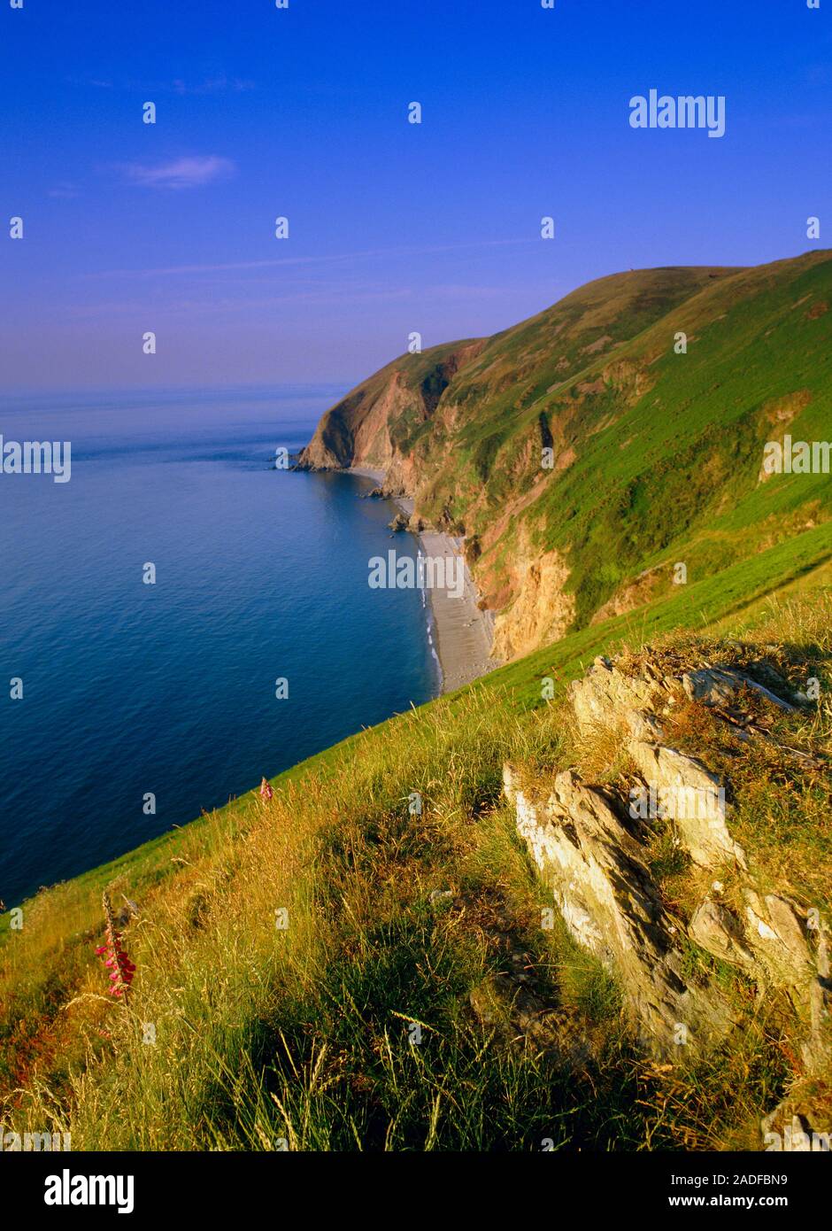View along the cliffs of North Devon, England Stock Photo - Alamy