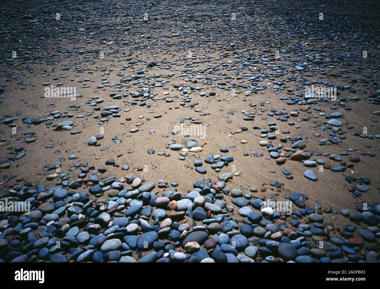 Pebbles on a sandy beach. Pebbles are the smooth, eroded remains of ...