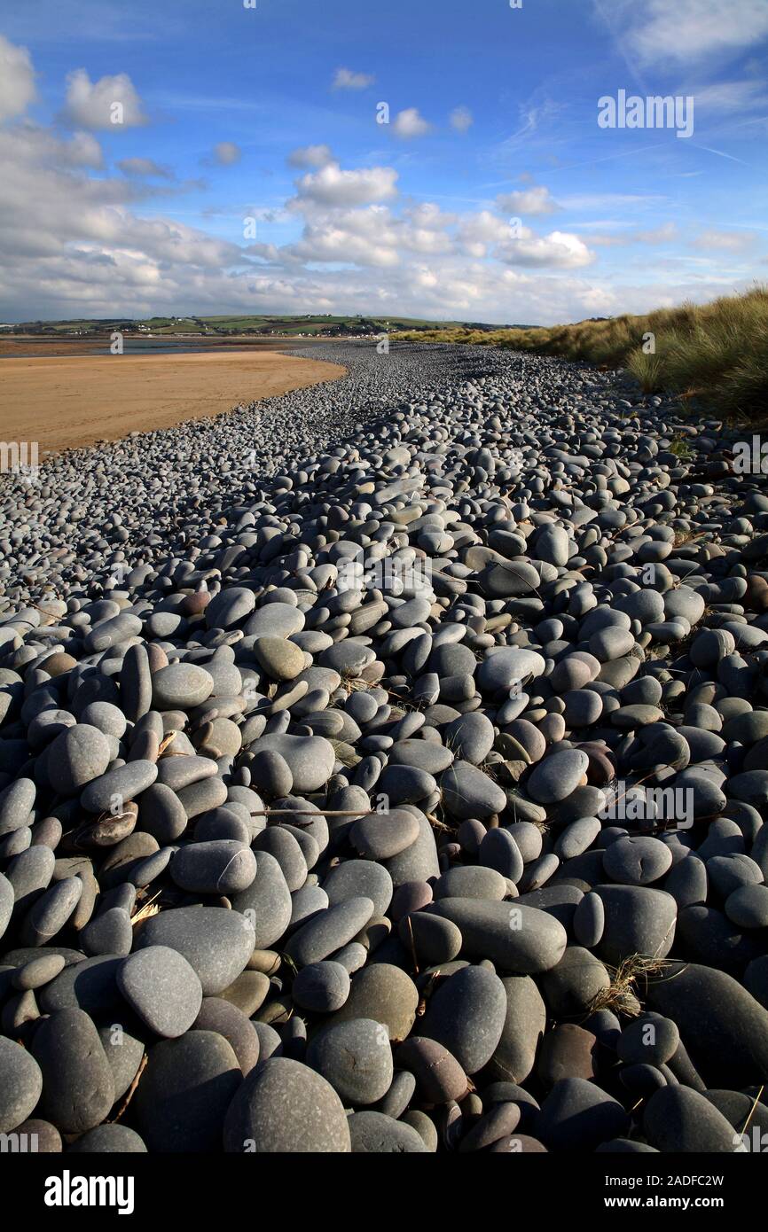 Pebble ridge on the Taw Torridge estuary. The pebbles are rubbed smooth ...