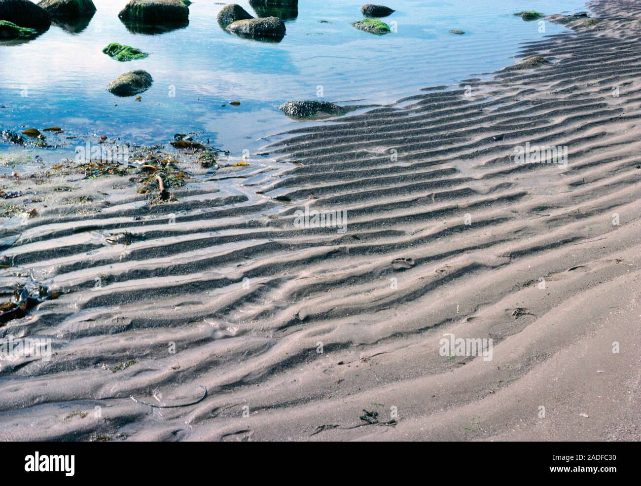 Sand patterns on beach by the edge of water Stock Photo - Alamy