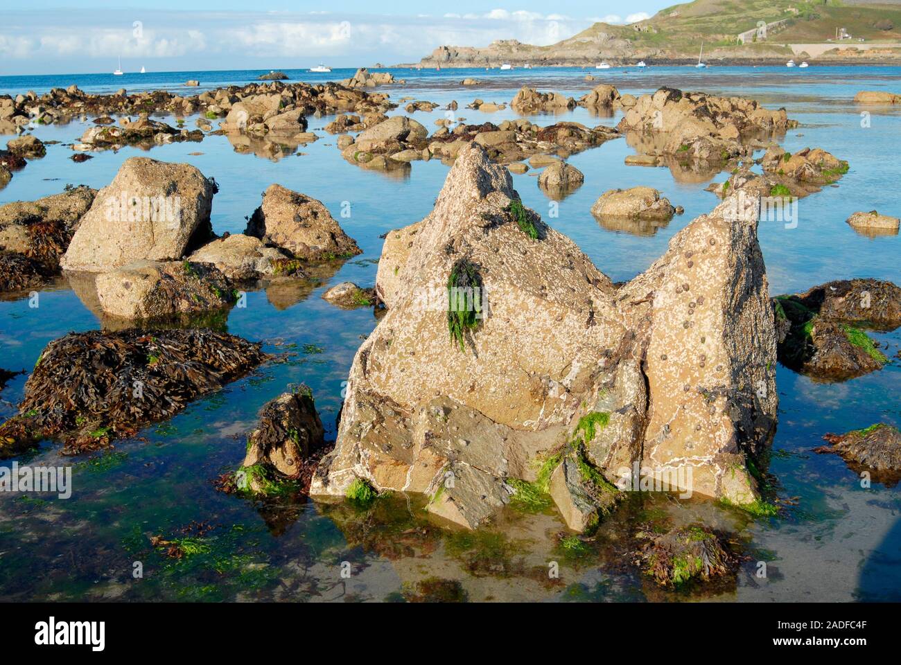 Exposed rocks and tidal pools in a bay Stock Photo - Alamy
