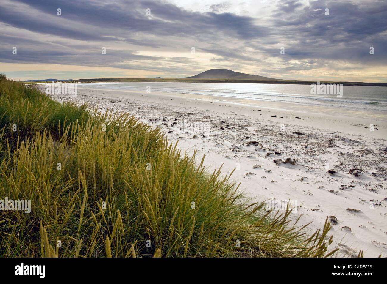 Four Mile beach, Elephant Bay, Pebble Island, Falkland Islands Stock ...