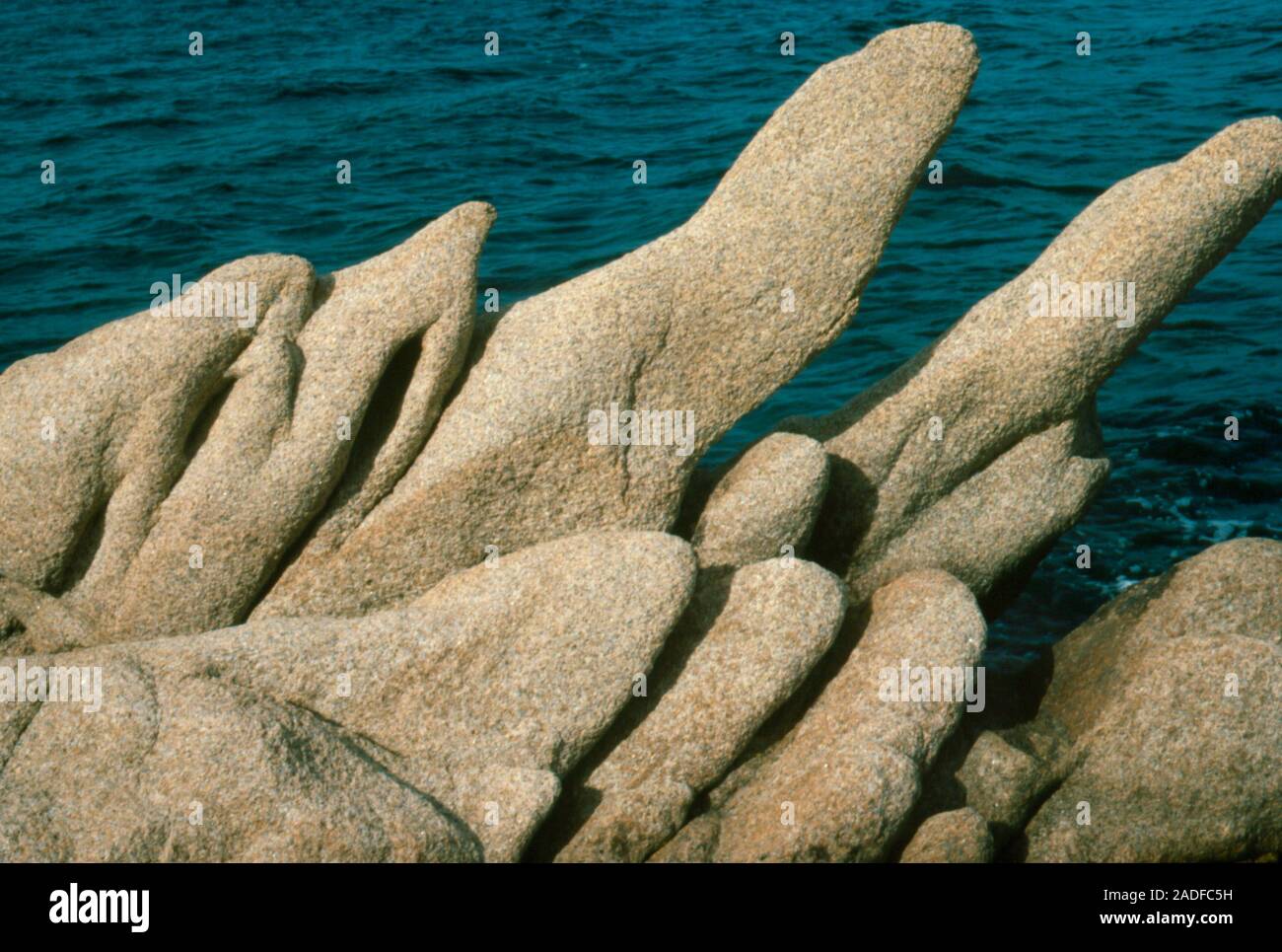 Finger-like rock formations produced by erosion along the Sardinian ...