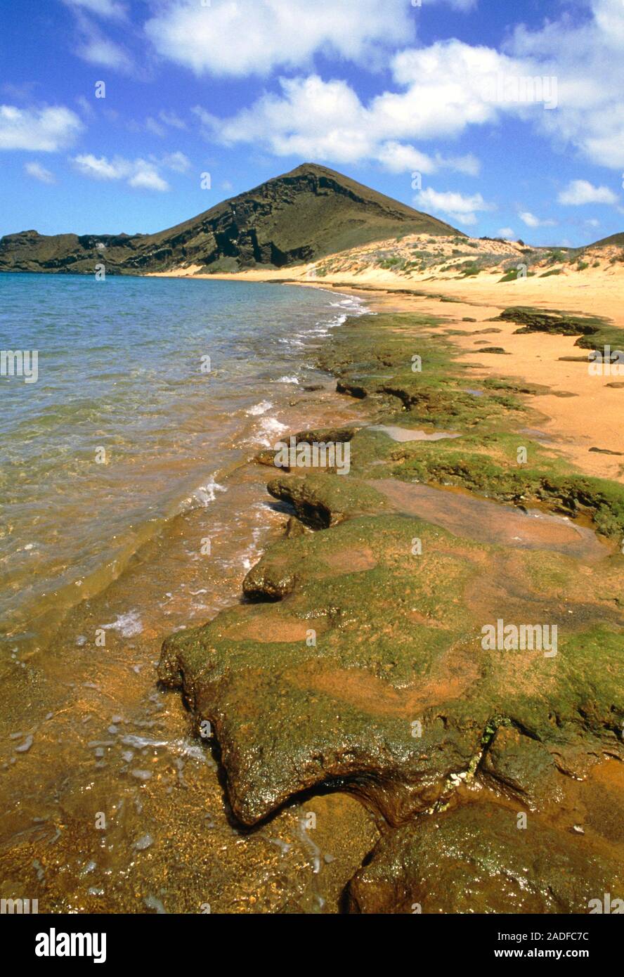 Wave-cut platform. View of a wave-cut platform (or abrasion platform ...