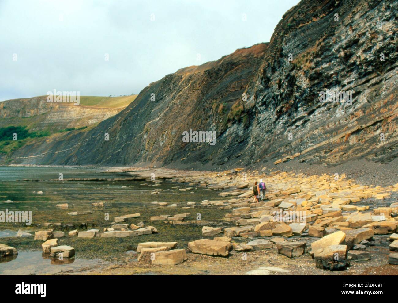 Fallen rocks. Beach littered with sandstone rocks that have fallen from ...