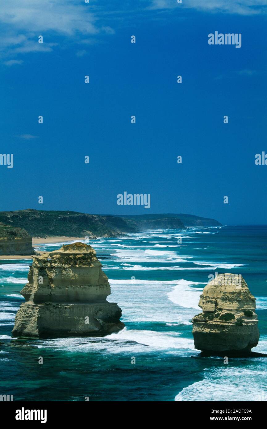 Sea stacks. Limestone sea stack formations. These form part of the ...