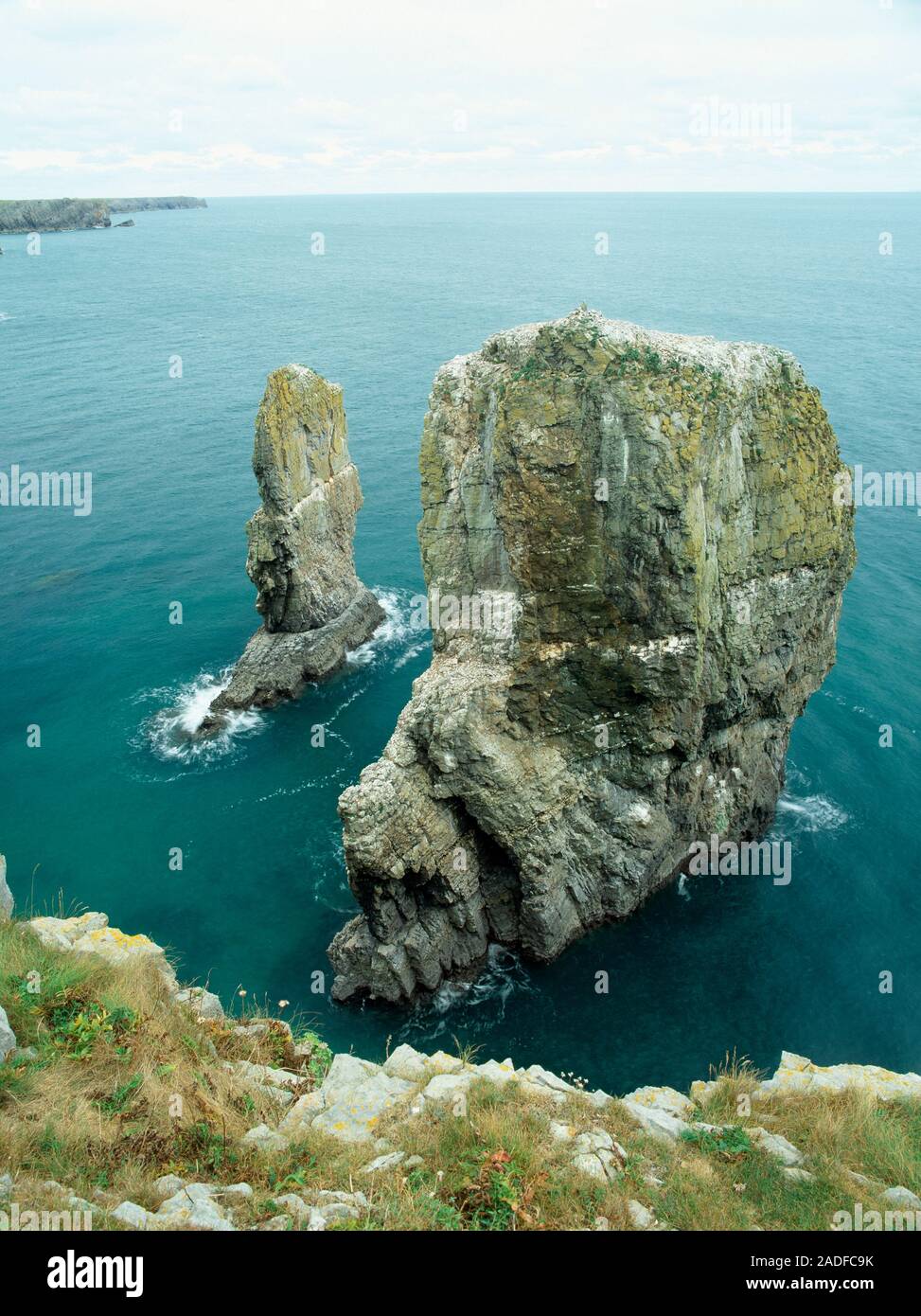Sea stacks. Carboniferous limestone sea stack formations. Sea stacks ...