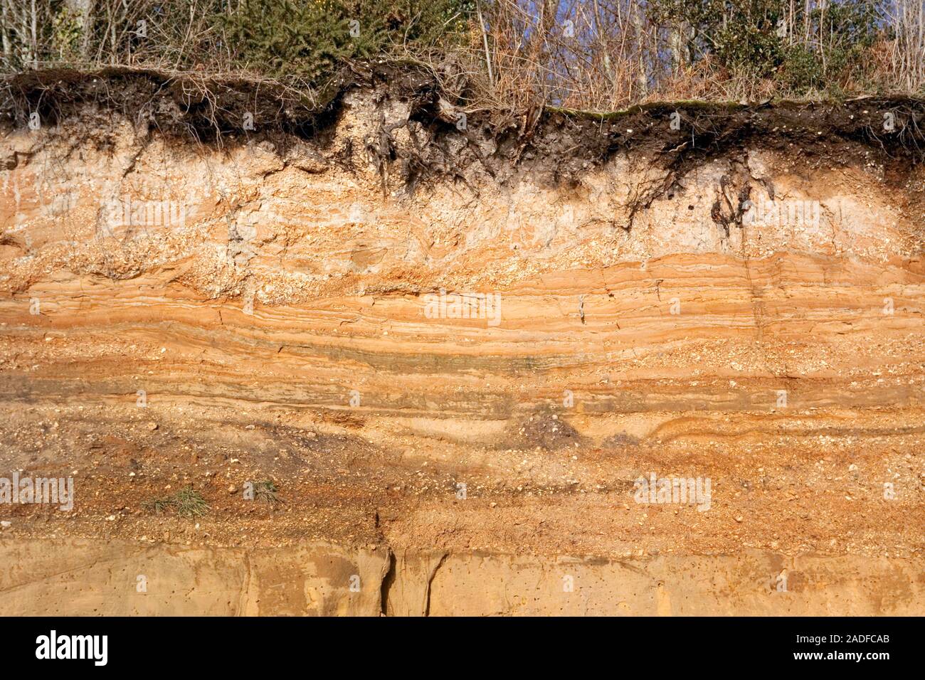 Coastal erosion. Exposed layers of sand and gravel on eroding cliffs ...