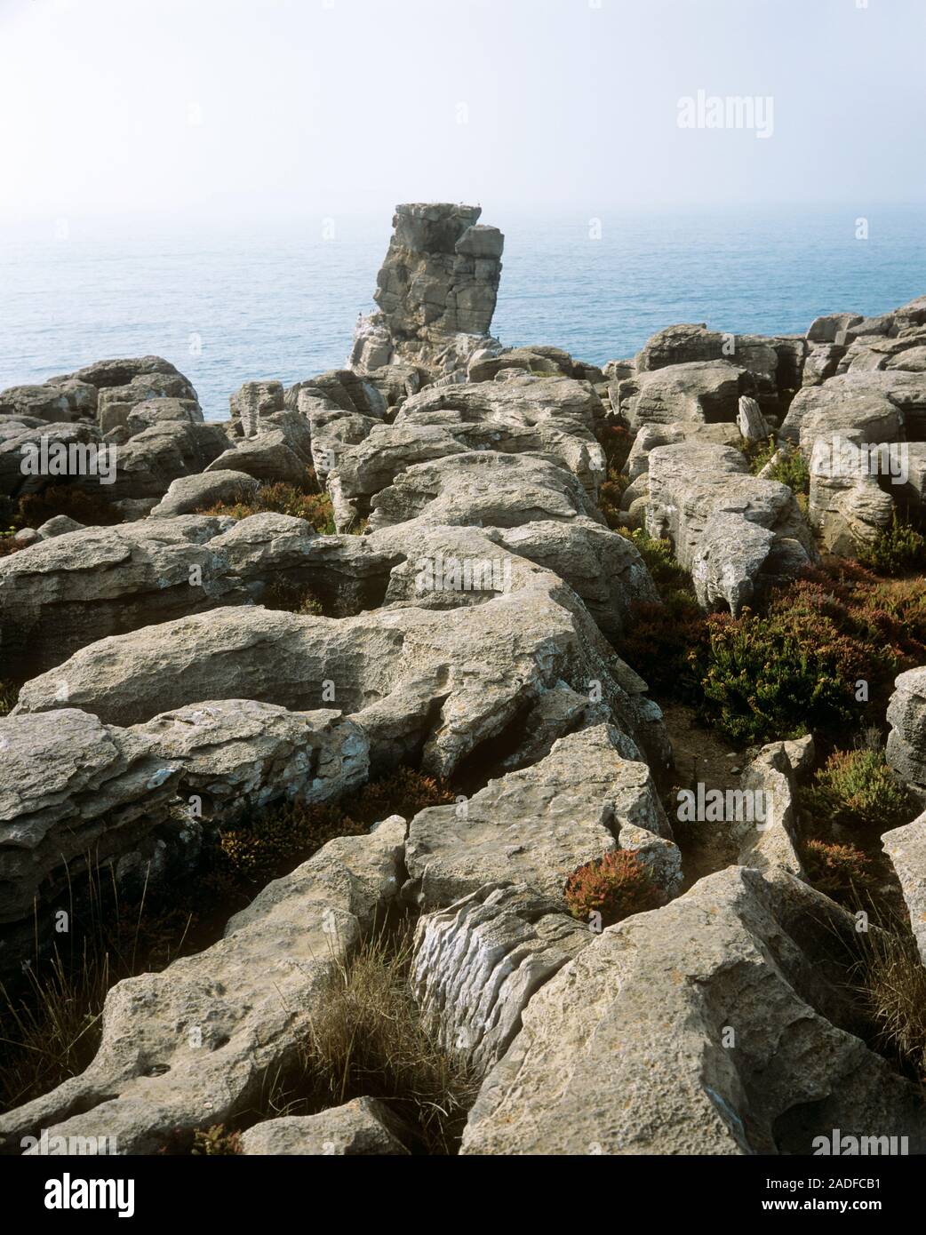 Eroded limestone cliffs at a coast. Limestone is a sedimentary rock ...