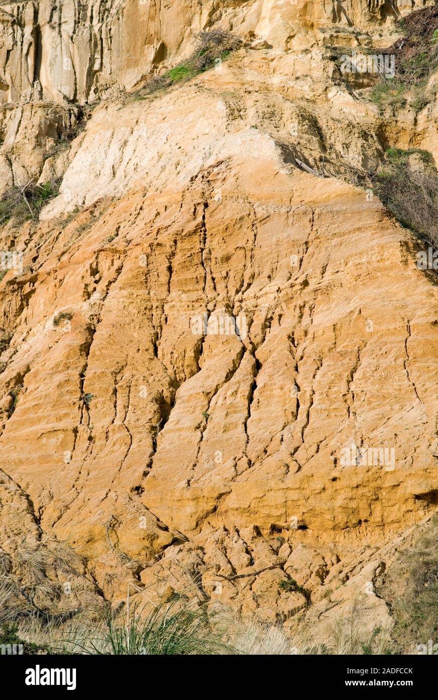 Eroded sandstone cliff face. This is the Branksome Sand Formation ...