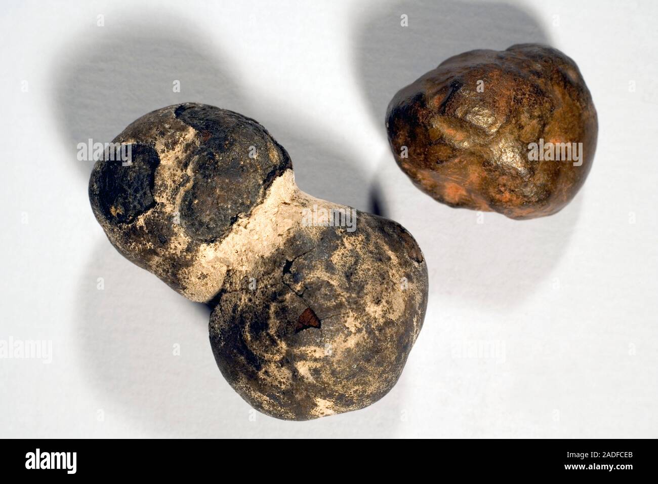 Manganese nodules. Manganese nodules (polymetallic nodules) are ...