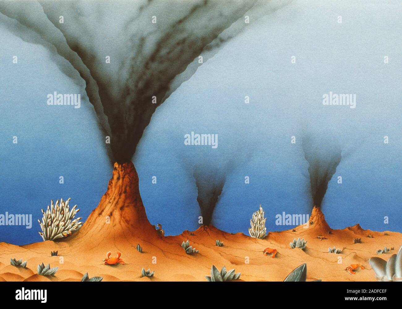 Deep sea vents. Illustration of marine life around hydrothermal vents ...