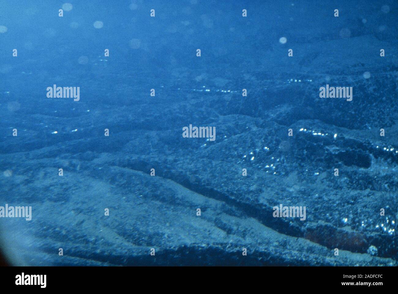 Lava flow, formed at a deep ocean hydrothermal vent. This is a sheet ...