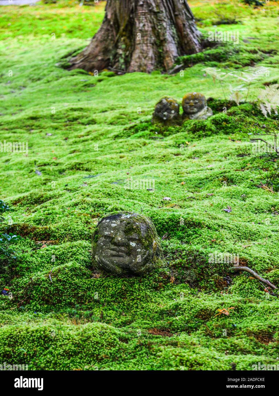 Stone statues of smiling Jizo Bosatsu with green moss at zen garden in ...