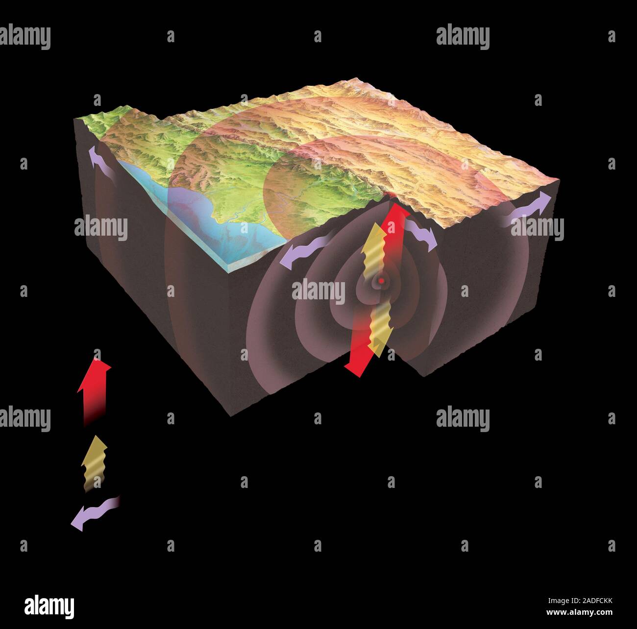 Earthquake seismic waves. Artwork of a section through an earthquake ...