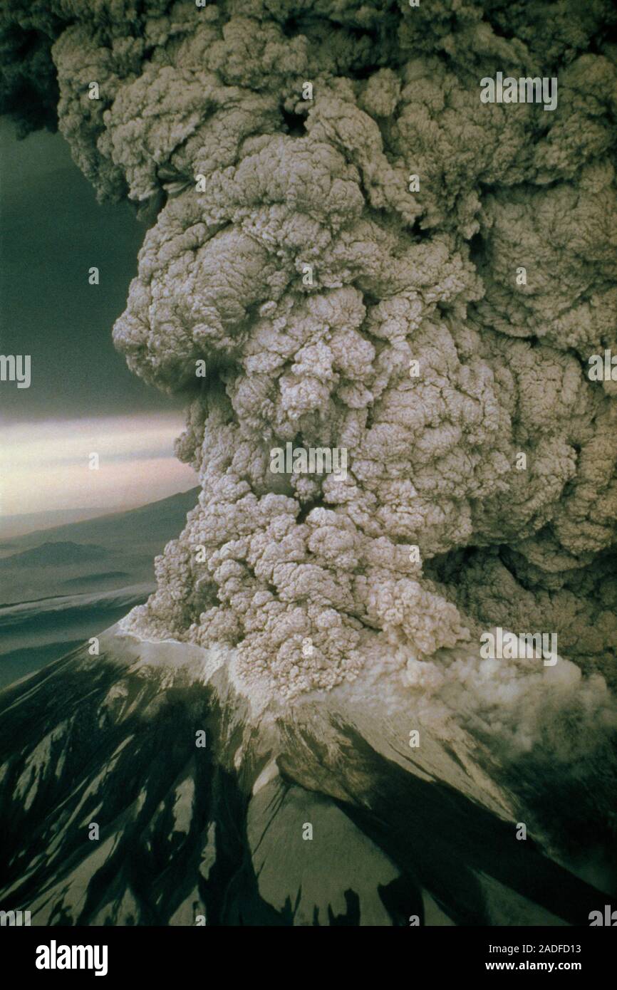 Plinian column of ash, gas & pulverised rock shooting out of Mt. St ...