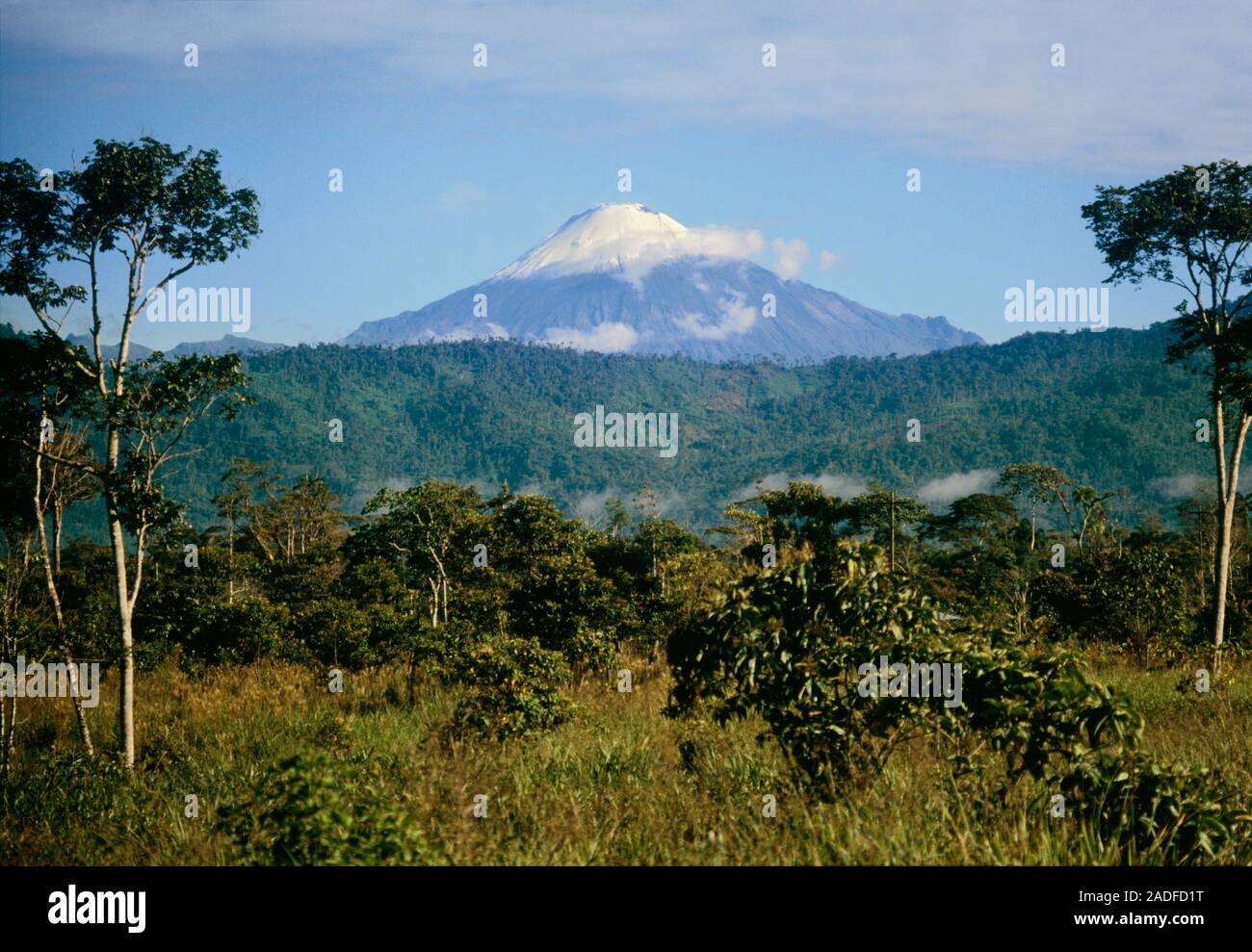 Mt Sangay, a snow capped active volcano, in periodic eruption in the ...