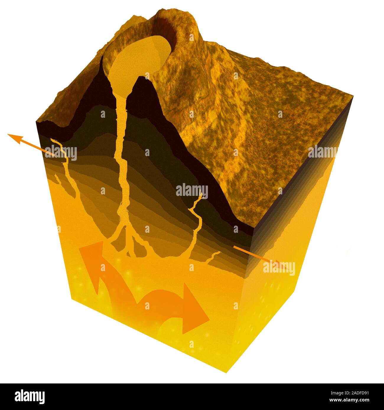 Volcano. Cutaway artwork of the internal structure of a volcano. Molten ...