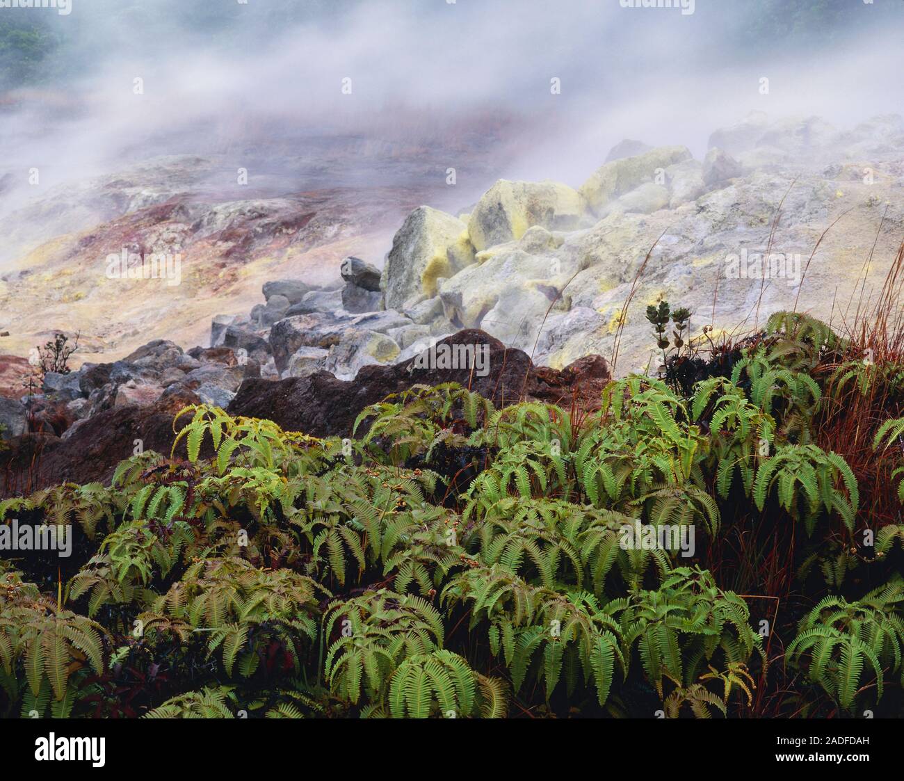 Fumarole vents on the flanks of the Kilauea volcano, on the island of ...