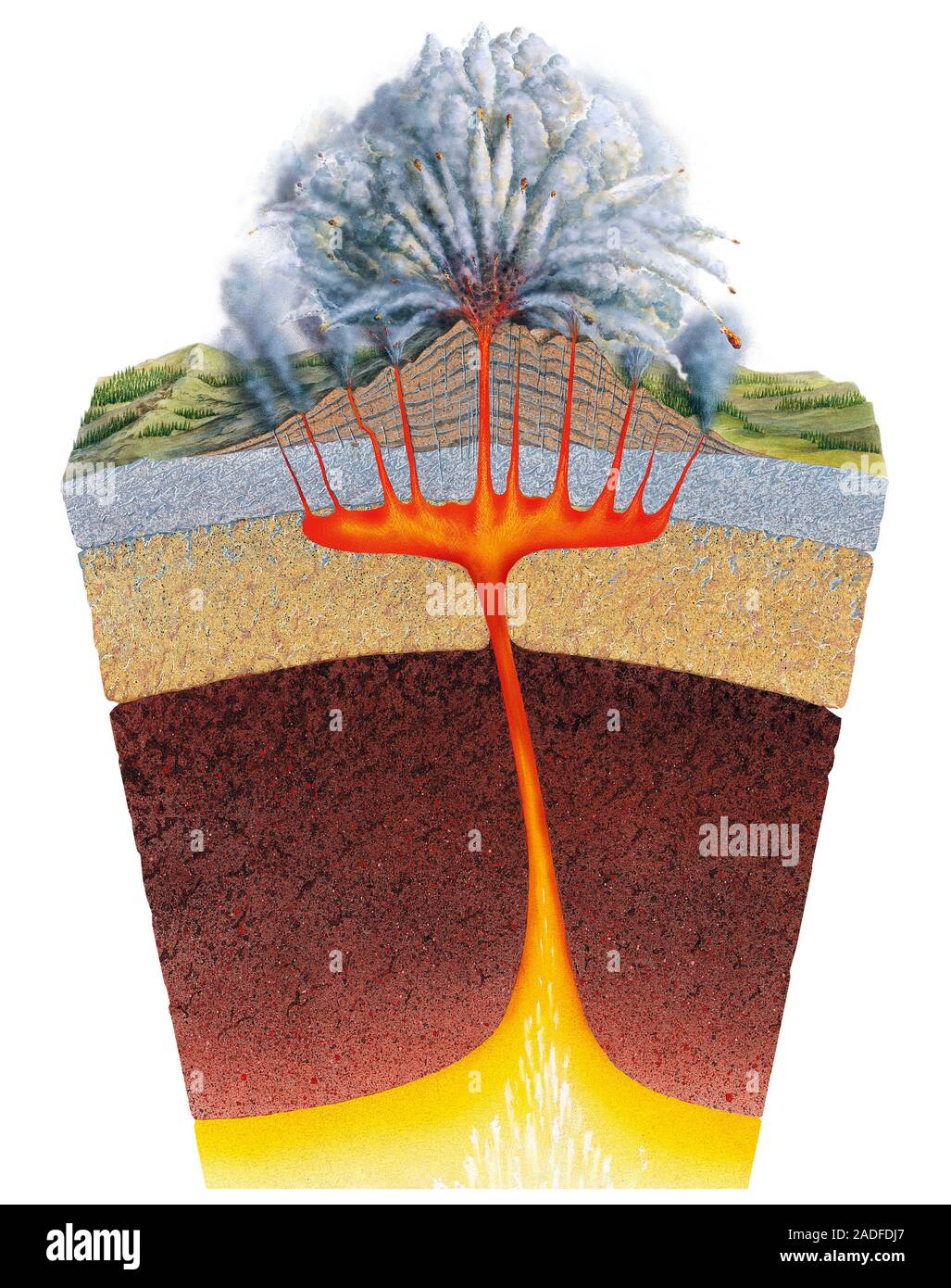 Volcanic eruption. Computer artwork of a massive volcanic eruption ...