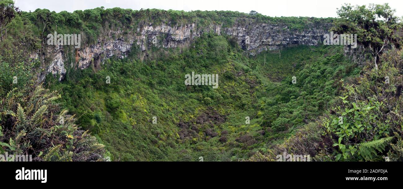 Dormant volcanic crater overgrown with plants. Photographed on Santa ...