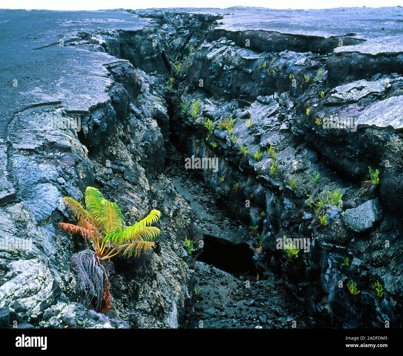 Lava fault. Fractured crust of lava caused by volcanic faulting. The ...